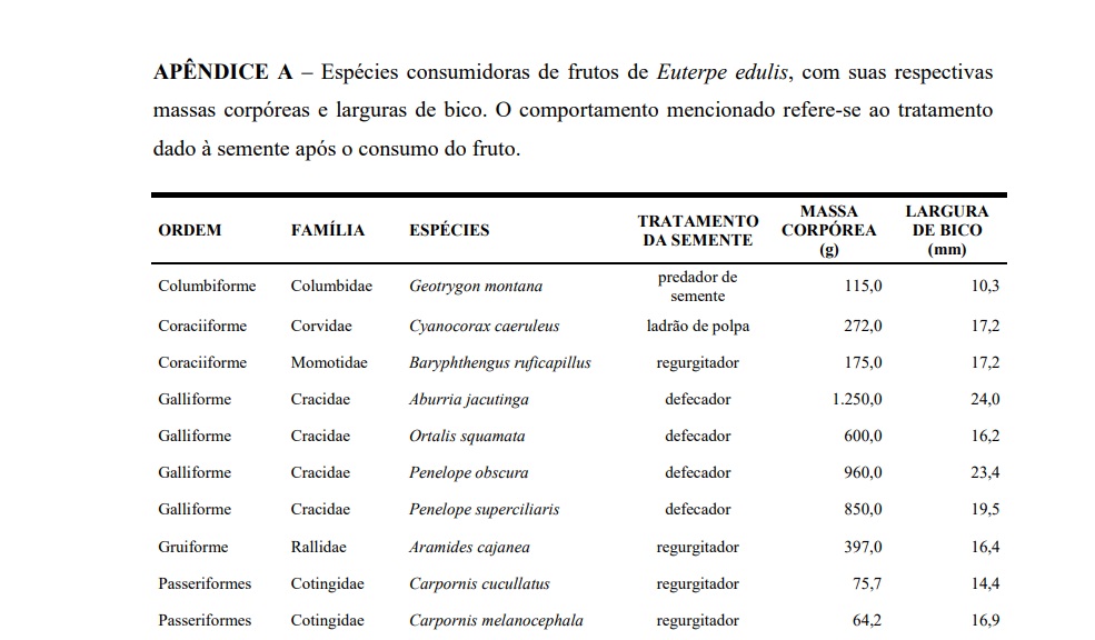 Apêndice de TCC: o que é, porque e como incluir no seu trabalho