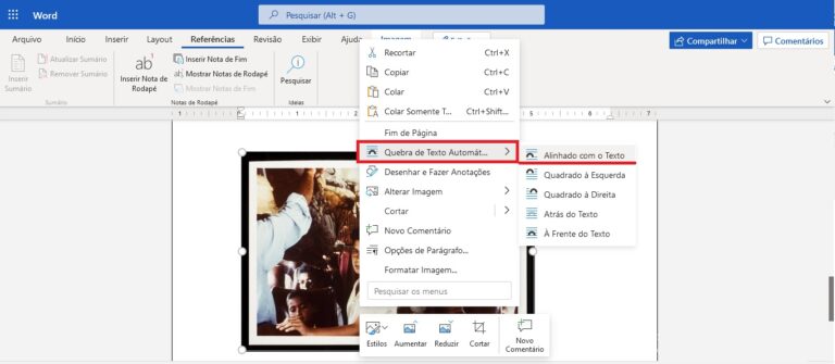 Como colocar fonte em imagens tiradas da Internet (ABNT)